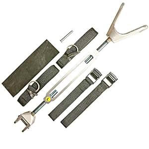 Amazon.com : Tree Trainer Tree Straightener, For Larger Trees 1.25 to 2 ...