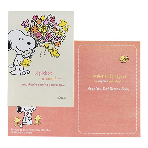 DaySpring - Peanuts - Get Well - 4 Design Assortment with Scripture ...