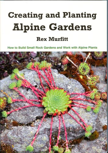 Creating And Planting Alpine Gardens: How To Build Small Rock Gardens ...