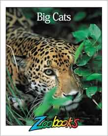 Big Cats (Zoobooks): John Bonnett Wexo: 9780937934043: Amazon.com: Books
