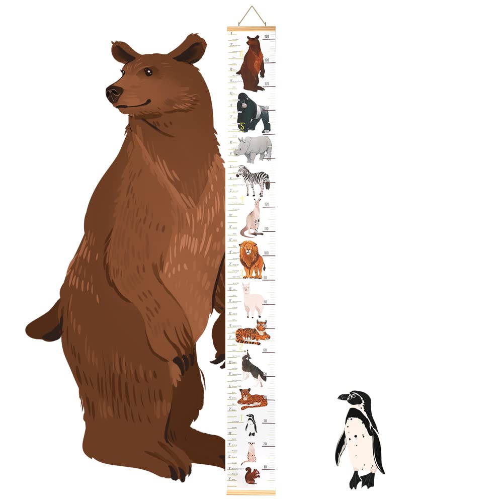Decu Educational Height Chart Animal-Comparison Hanging Growth Chart ...