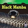 Black Mamba (Killer Snakes) in Kuwait | Whizz