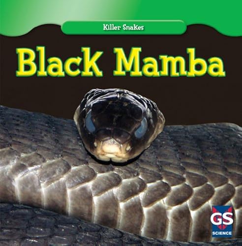 Black Mamba (Killer Snakes) in Kuwait | Whizz