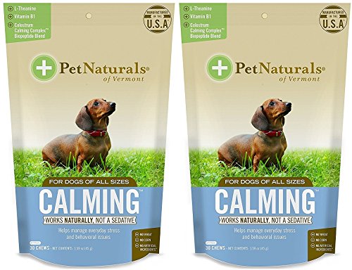 The 10 Best Dog Anxiety Medication Over the Counter and Alternatives