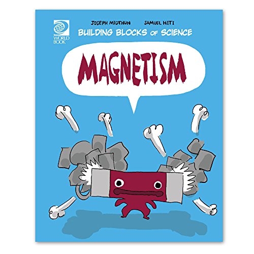Magnetism: Joseph Midthun, Paul Kobasa: 9780716614272: Amazon.com: Books
