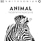 Animal: The Definitive Visual Guide: DK: 9780744063189: Amazon.com: Books