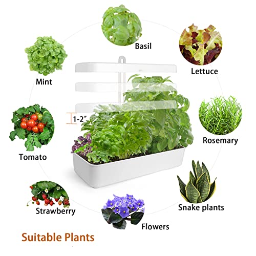 GrowLED LED Indoor Garden, Herb Garden, Kitchen Garden, Height ...