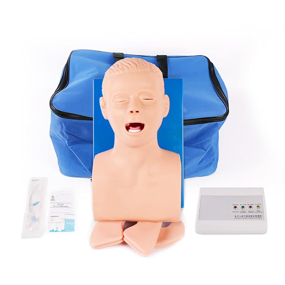 Mua PVC Intubation Mannequin Education Model, Popular Tube Intubation ...