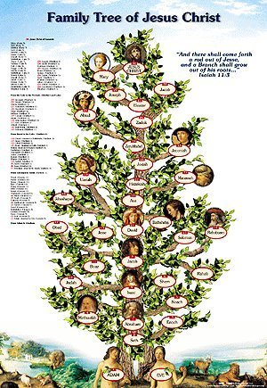 Biblical Wall Charts: The Family Tree from Adam to Jesus