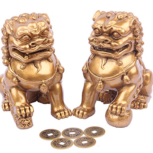 Buy Feng Shui Door Foo Dogs talisman lion beast One Pair + 5Free ...