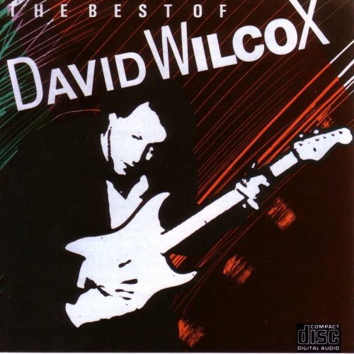 Release “The Best of David Wilcox” by David Wilcox - MusicBrainz