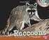 Exploring the World of Raccoons: Tracy Read: 9781554076178: Amazon.com ...