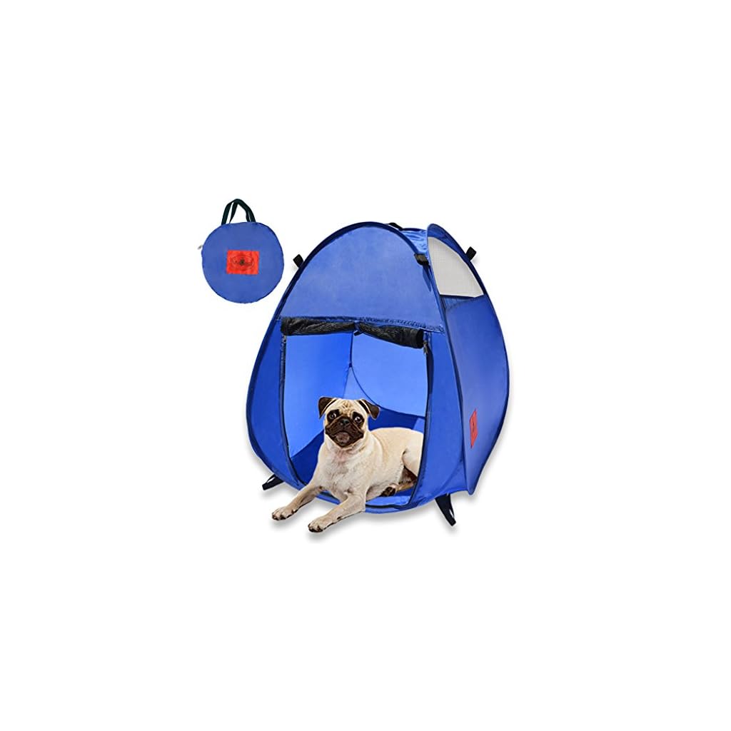 Home - Dog Supply Hub