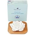 Amazon.com: Plant Therapy Passive Lotus Flower Aromatherapy Diffuser ...