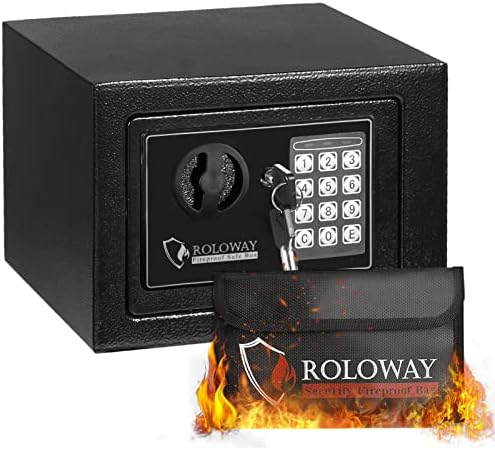 ROLOWAY Steel Money Safe Box for Home with Fireproof Money Bag for Cash ...