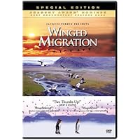 Amazon.com: Winged Migration : Philippe Labro, Jacques Perrin, Jacques ...