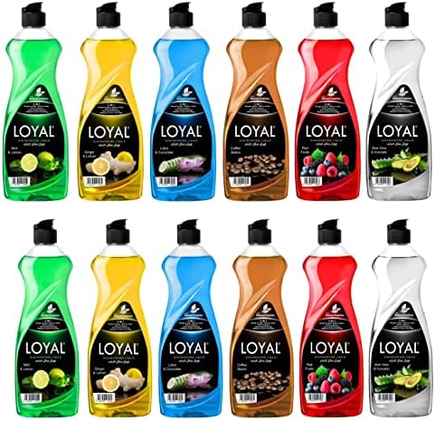 LOYAL Dishwashing Liquid 700 ml Pack Of 12 price in UAE | Amazon UAE ...