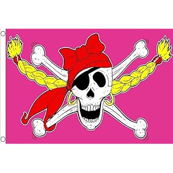 Amazon.com : AZ FLAG Pirate Girl Flag 3' x 5' - Lady Pirate Flags 90 x ...