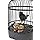 Props4shows Animated Halloween Raven in Cage: Amazon.co.uk: Kitchen & Home