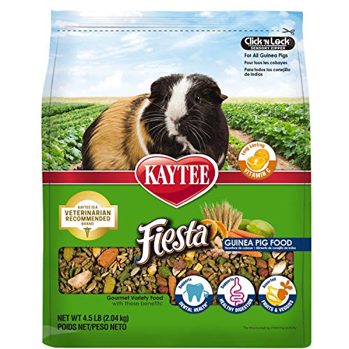 Kaytee Fiesta Pet Guinea...B000FXVV4Q | Encarguelo.com.ec