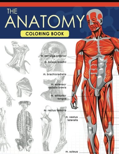 The Anatomy Coloring Book: A Complete Study Guide (9th Edition): Dr ...