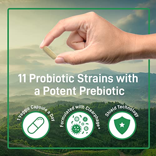 OmegaXL Shelf Stable Probiotic & Prebiotic Blend 11 Strains, Promote ...
