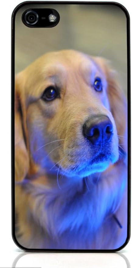 Amazon.com: Cute Dog Hard Case for Apple iPod touch 4 4G 4TH ( Sugar ...