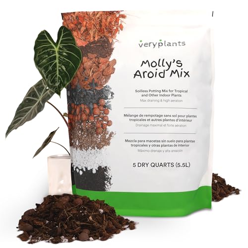 Molly's Aroid Mix - Premium Soilless Potting Mix for Houseplants - Fast ...