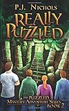 Puzzled The Puzzled Mystery Adventure Series: Book 1: Amazon.co.uk: P.J ...