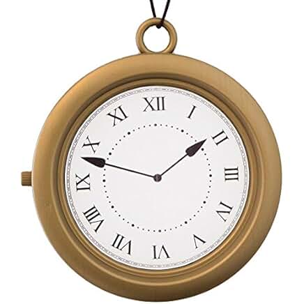 Amazon.com: pocket watch white rabbit