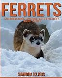 10 Fun Ferret Facts - Their Domestication and Behavior | Animal Bliss