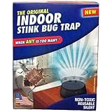Amazon.com : TERRO T3500 Stink Bug Killer Aerosol Spray : Home Pest ...
