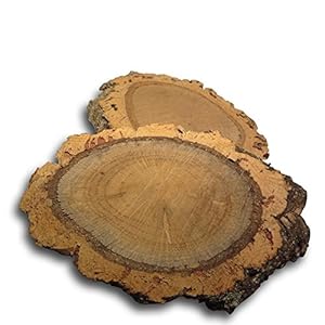 2 Cork Tree Disc / Wood Slices (Wooden Log Slice, Tree Trunk, Log, Bole ...