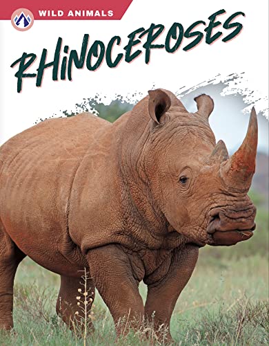 Rhinoceroses (Wild Animals): Rachel Hamby: 9781637384718: Amazon.com: Books