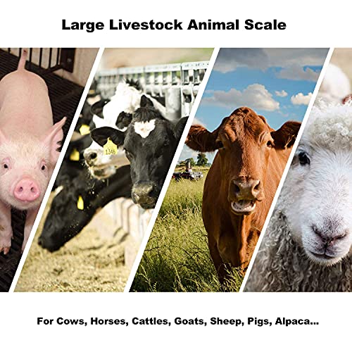 Mua PEC Large Animal Scale Cattle Scales, Farm Livestock Weighing ...