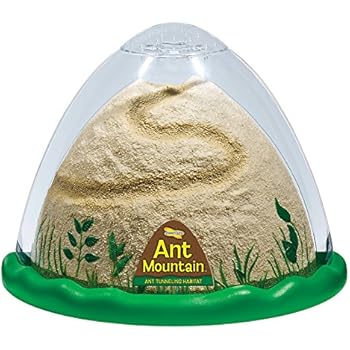 Amazon.com: Sand Ant Farm Big - Anthill, Formicarium, Educational, Ants ...