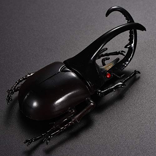 Mua 5.5 inch Fake Beetle Simulated Beetle Model Realistic Plastic ...