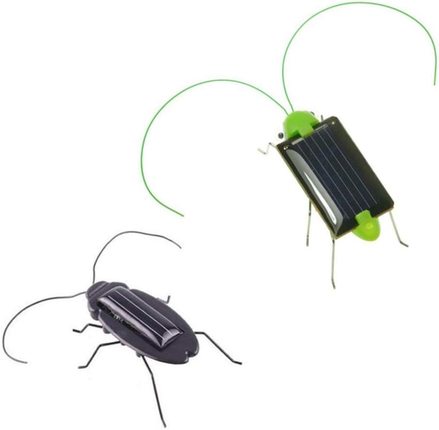 Amazon.com: TOYANDONA 2pcs Solar Powered Insect Bug Toys Educational ...