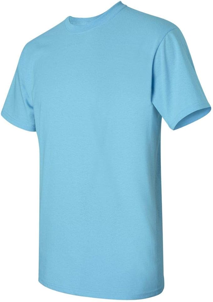 Sky Blue Gildan T-Shirt Mens Adult Unisex 5000 G500 Light Tommy Pickles ...