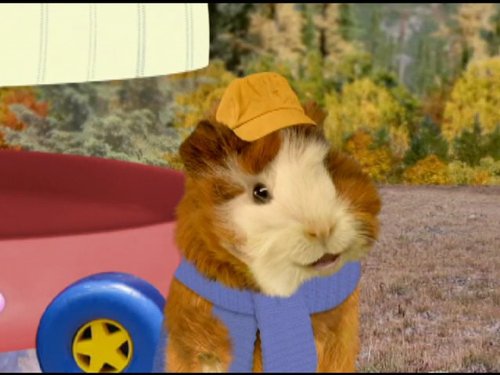 Watch Wonder Pets - Season 2 (English voice over) | Prime Video