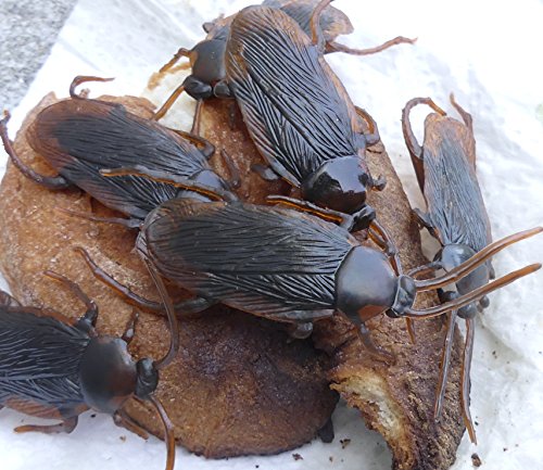 Fake Cockroaches 144-Disgusting Realistic Looking Fake - Want It All