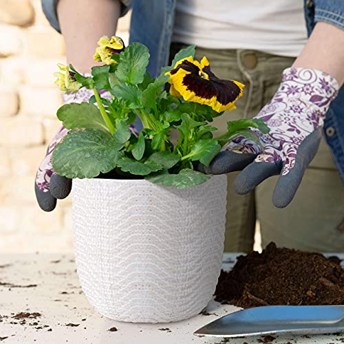 INSPIRELLA Timeless Plant Pot – 6.5" Stunningly Detailed Ceramic Pots ...
