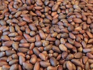 Amazon.com: Nevada Soft Shell Pine Nuts - Raw (10 lbs. Bulk ): Everything Else