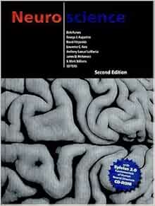 Neuroscience 2nd (second) Revised Edition by Purves, Dale et al ...