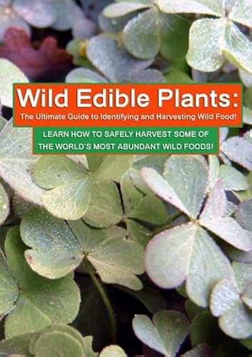 Wild Edible Plants: The Ultimate Guide to Identifying and Harvesting ...
