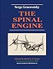 The Spinal Engine in Kuwait | Whizz Occupational
