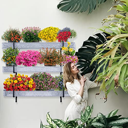 BENARR Galvanized Vertical Wall Planter — Space-Efficient Wall Mounted ...