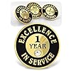 PinMart Gold Plated Excellence in Service Year Award Lapel Pin – Metal ...