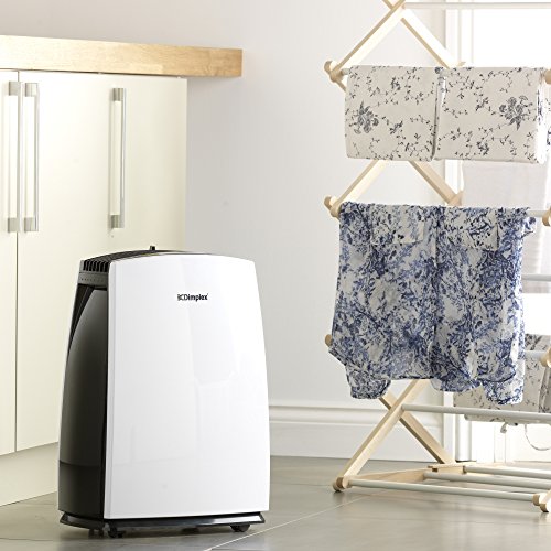 Dimplex Forte 10L DXDH10N Review - One Of The Chepeast