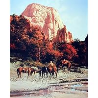 Amazon.com: Western Cowboy Horses Bruce Cheever Mountain Wall Decor Art ...